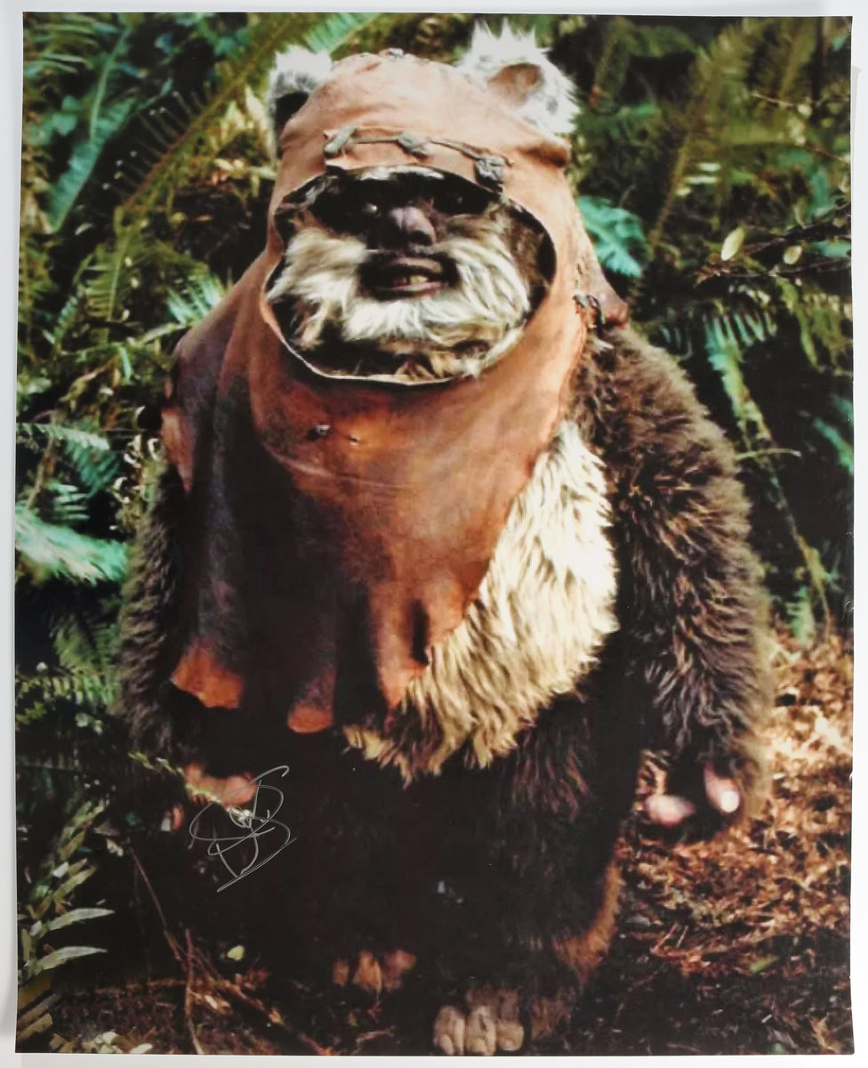 Warwick Davis as Wicket the Ewok in Star Wars: Return of the Jedi Sign – SWAU Auction