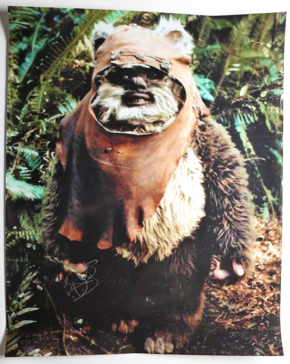 Warwick Davis as Wicket in Star Wars: Return of the Jedi Signed 24x30 – SWAU Auction