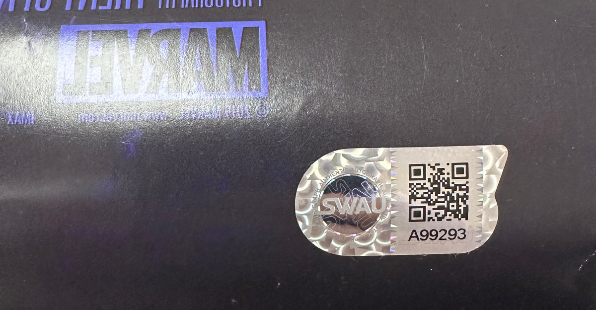 Avengers: Endgame 27x40 Poster Signed by Robert Downey Jr., Chris Hems ...