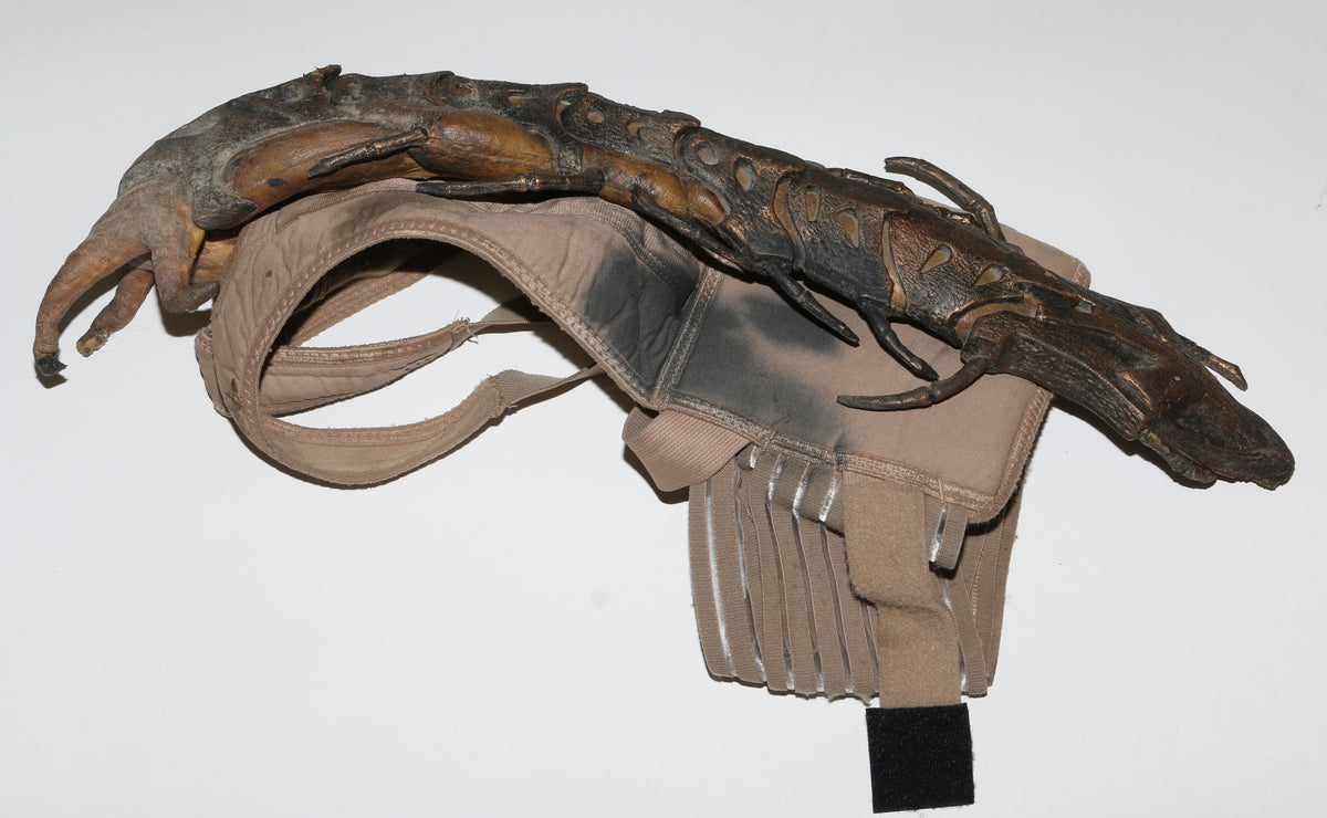 Falling Skies Harness Creature Prop Made by Todd Masters FX - 2016 ...