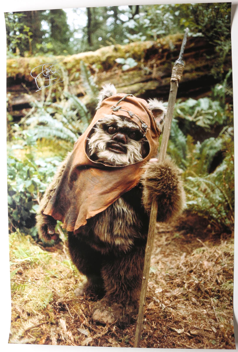 Warwick Davis as Wicket in Star Wars: Return of the Jedi Signed 20x30 ...