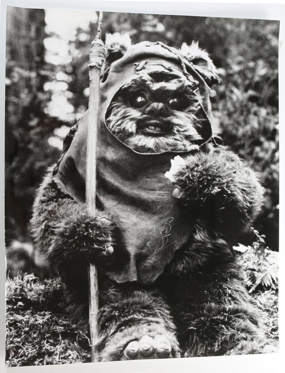 Warwick Davis as Wicket the Ewok in Star Wars: Return of the Jedi Sign ...