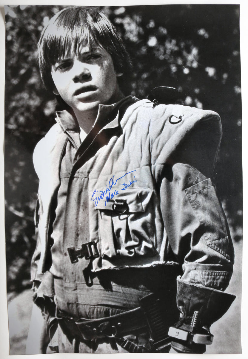 Eric Walker as Mace Towani in Star Wars Caravan of Courage: An Ewok Ad ...