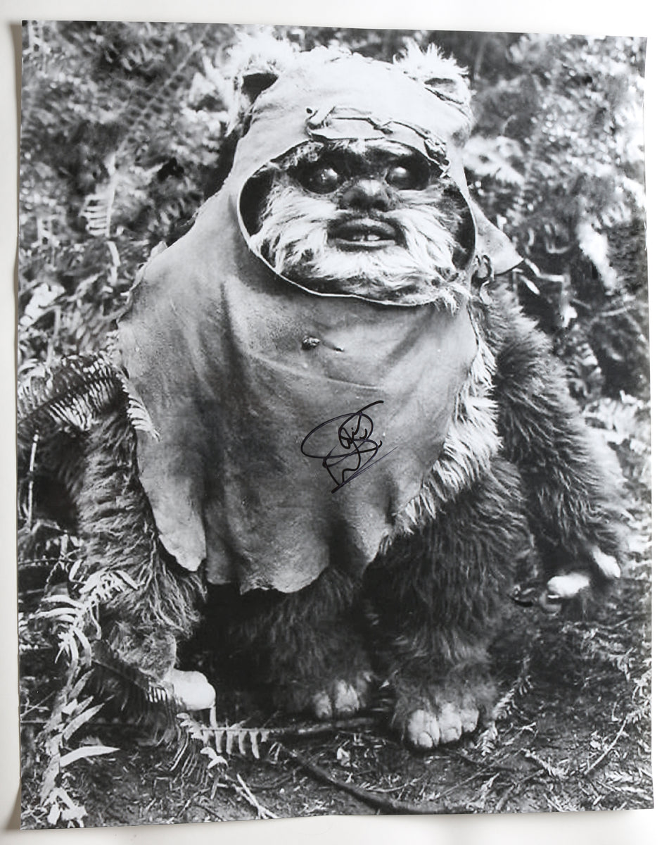 Warwick Davis as Wicket in Star Wars: Return of the Jedi Signed 24x30 ...