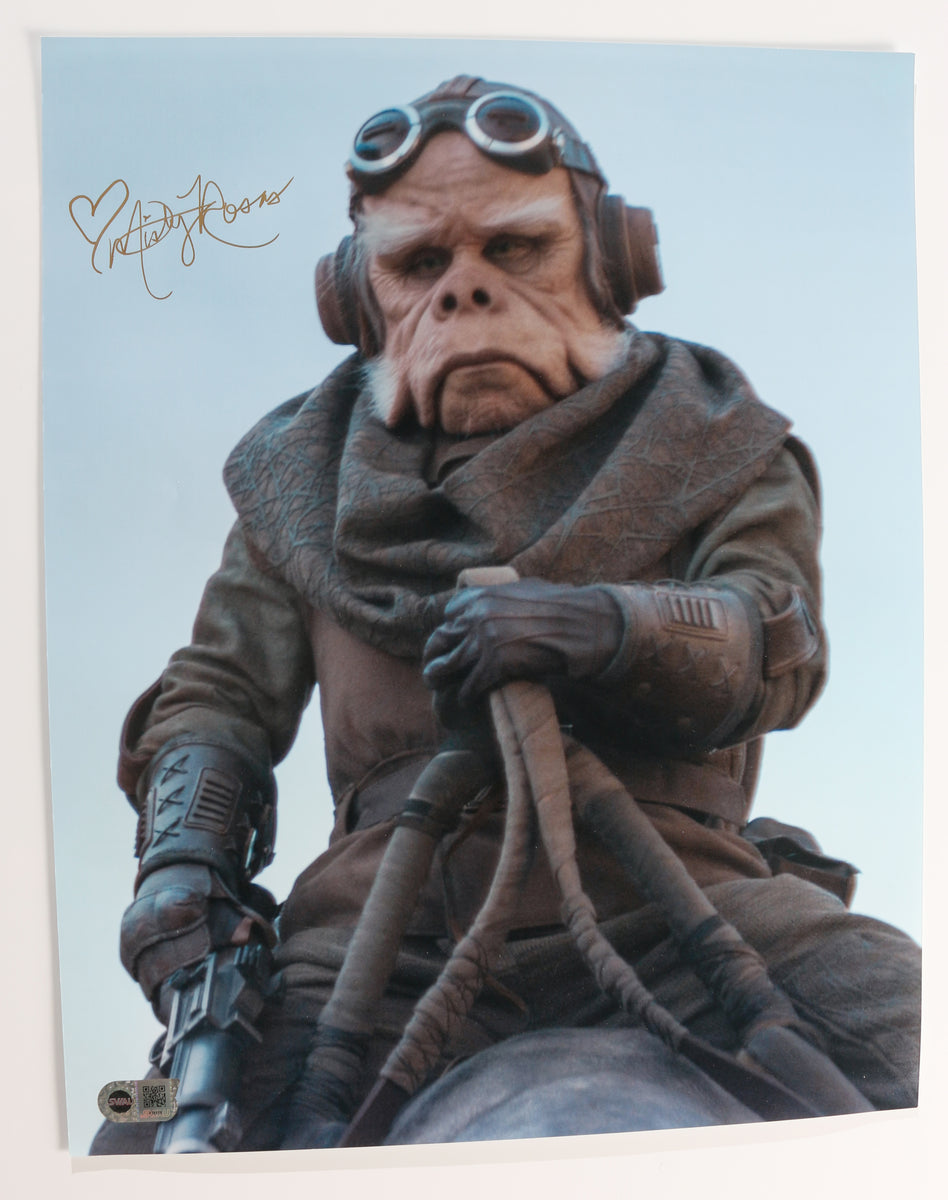 Misty Rosas as Kuiil in Star Wars: The Mandalorian (SWAU Witnessed) Si ...