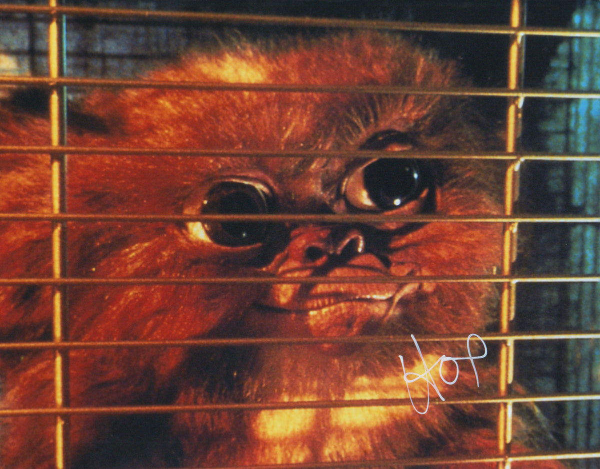 Howie Mandel as Gizmo in Gremlins Signed 11x14 Photo – SWAU Auction