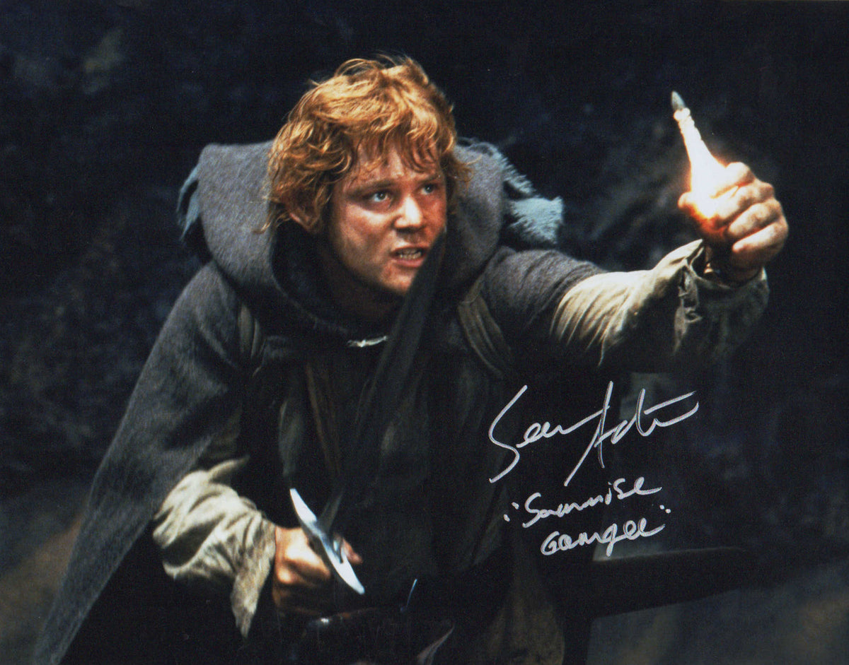 Sean Astin as Samwise Gamgee in The Lord of the Rings: The Return of t ...