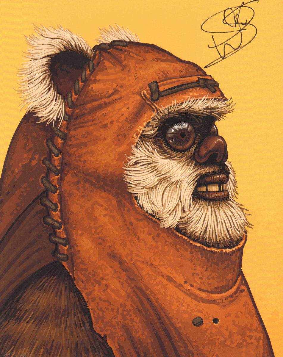 Warwick Davis as Wicket in Star Wars: Return of the Jedi Signed 11x14 ...