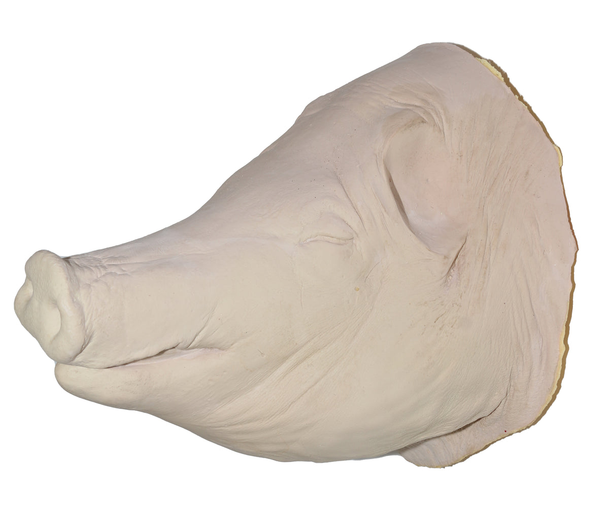 Saw III Horror Movie Production Made Foam Latex Pig Head - 2006 – SWAU ...