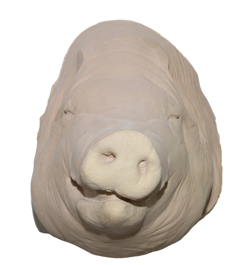 Saw III Horror Movie Production Made Foam Latex Pig Head - 2006 – SWAU ...