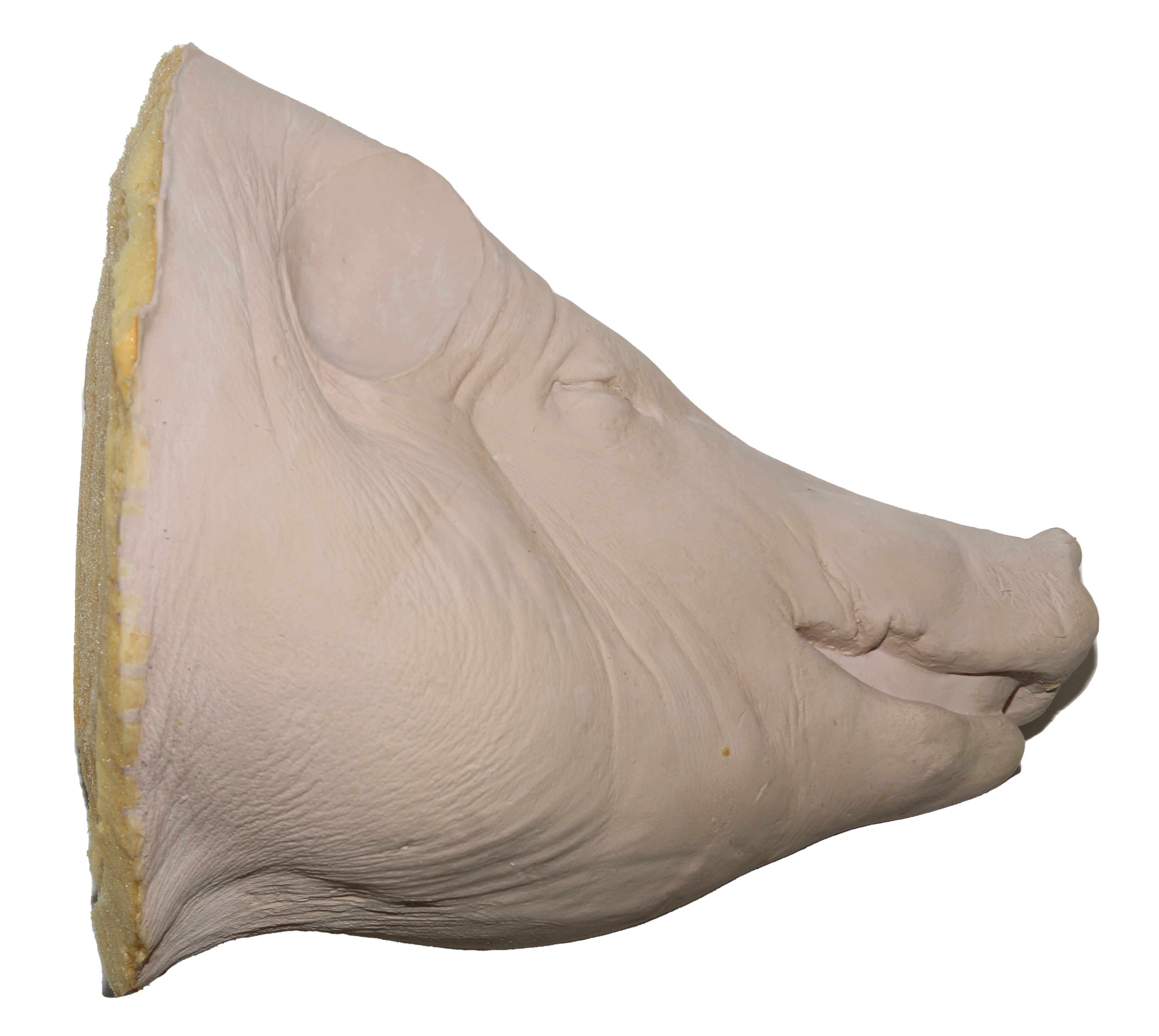 Saw III Horror Movie Production Made Foam Latex Pig Head - 2006 – SWAU ...